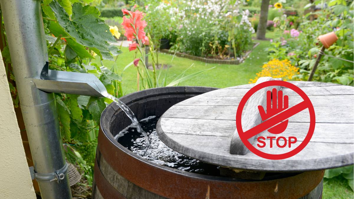 Apa de ploaie umflă facturile la Buzău şi cu 300 de lei. Ce este "taxa meteorică" şi de ce o ...